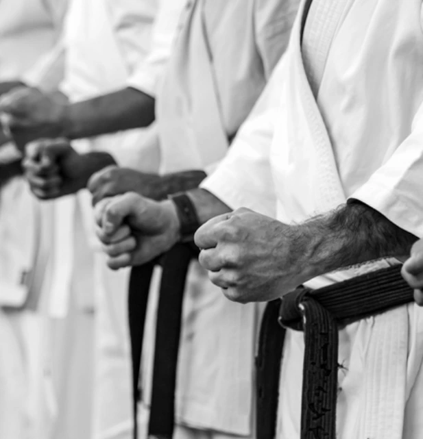 About Okinawa Goju-Ryu Karate Shobukan India | Tradition & Power