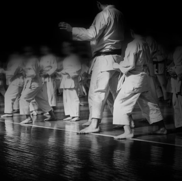 O.G.K.S India Dojo Guide | Your Roadmap to Success